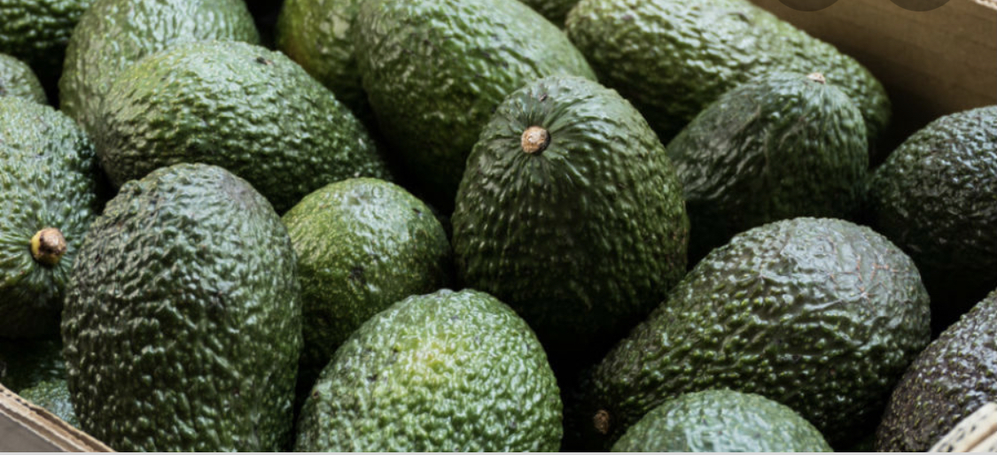 Avocat Pérou (x3 pièces) - LE COIN DES PRODUCTEURS