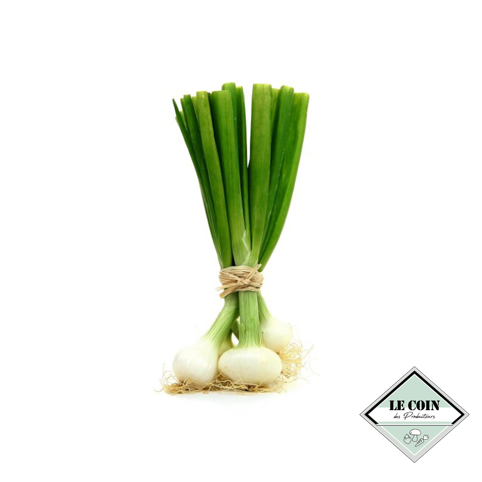 Oignons blancs la botte - LE COIN DES PRODUCTEURS