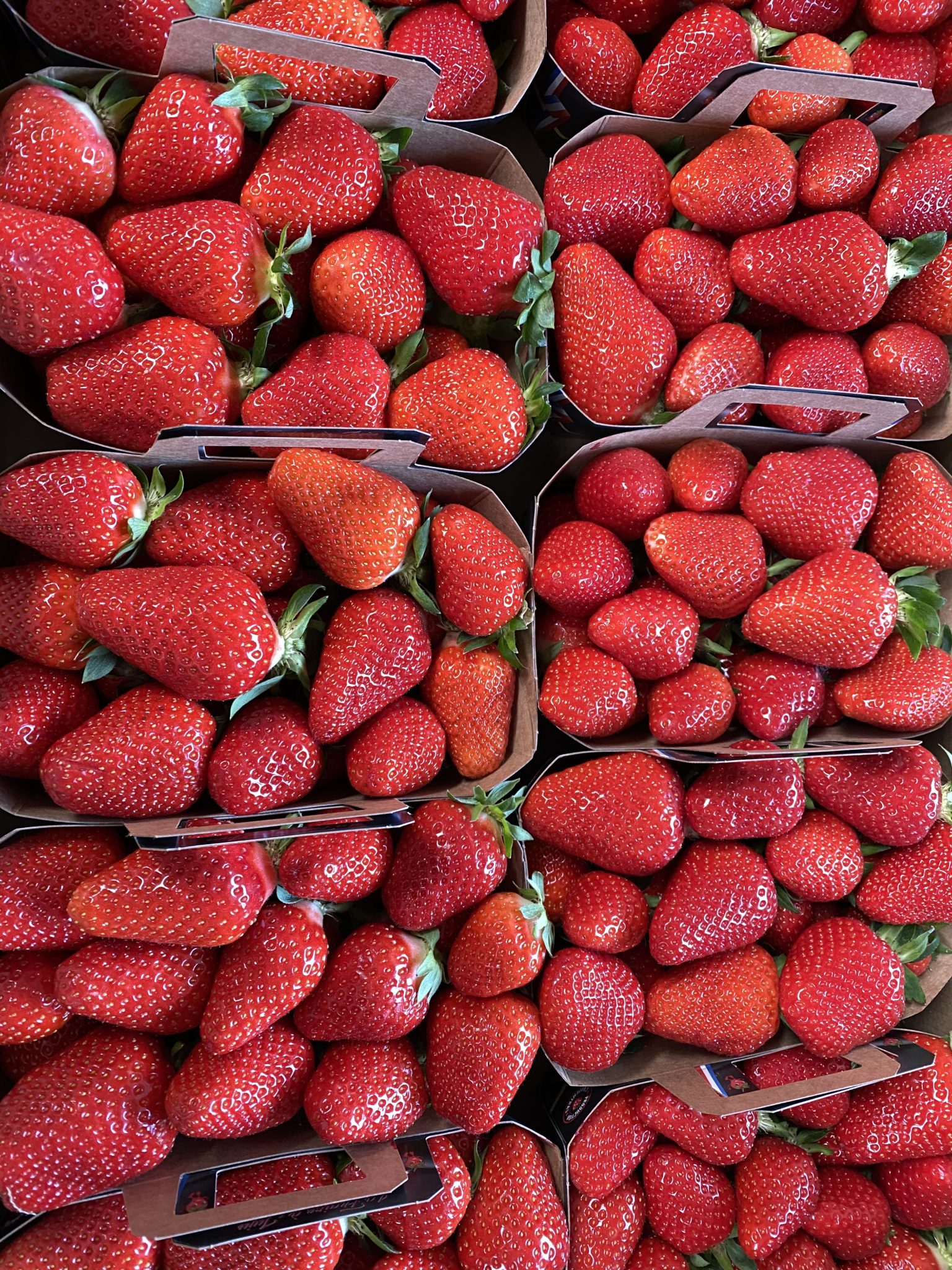 Fraises 500g - LE COIN DES PRODUCTEURS